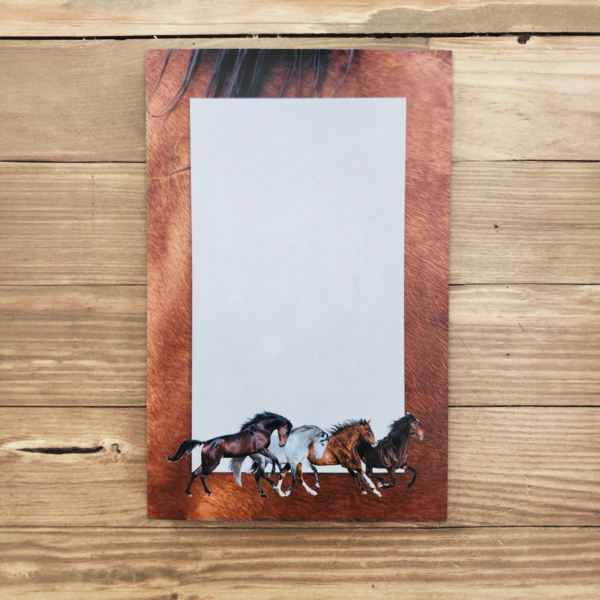 Horse Lover's Notepad/ Stationary Set Three 50 Sheet Pads | Equestrian ...